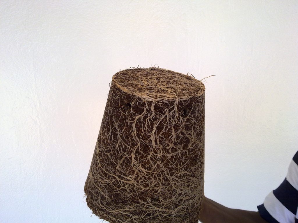 What is a good structure for a substrate ? – Independent Substrate ...